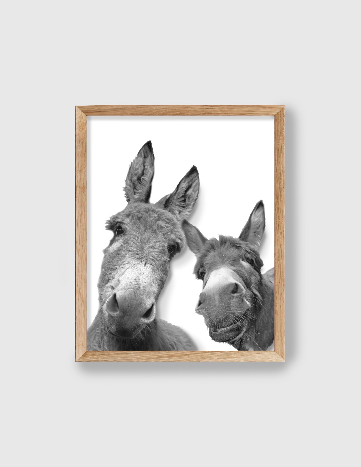 Donkey Wall Art, Mexican Burro Print, Cute Farm Animal Poster, Mule ...