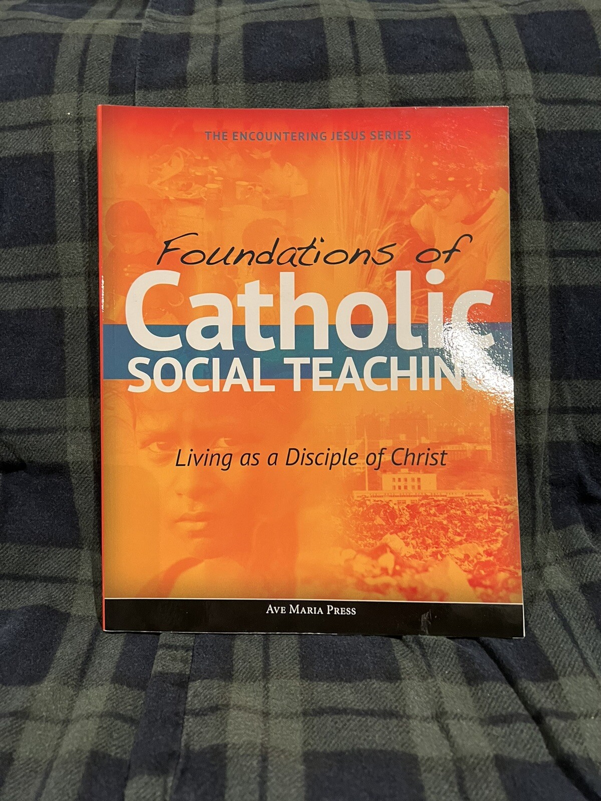 Foundations of Catholic Social Teaching: Living as a Disciple of Christ ...