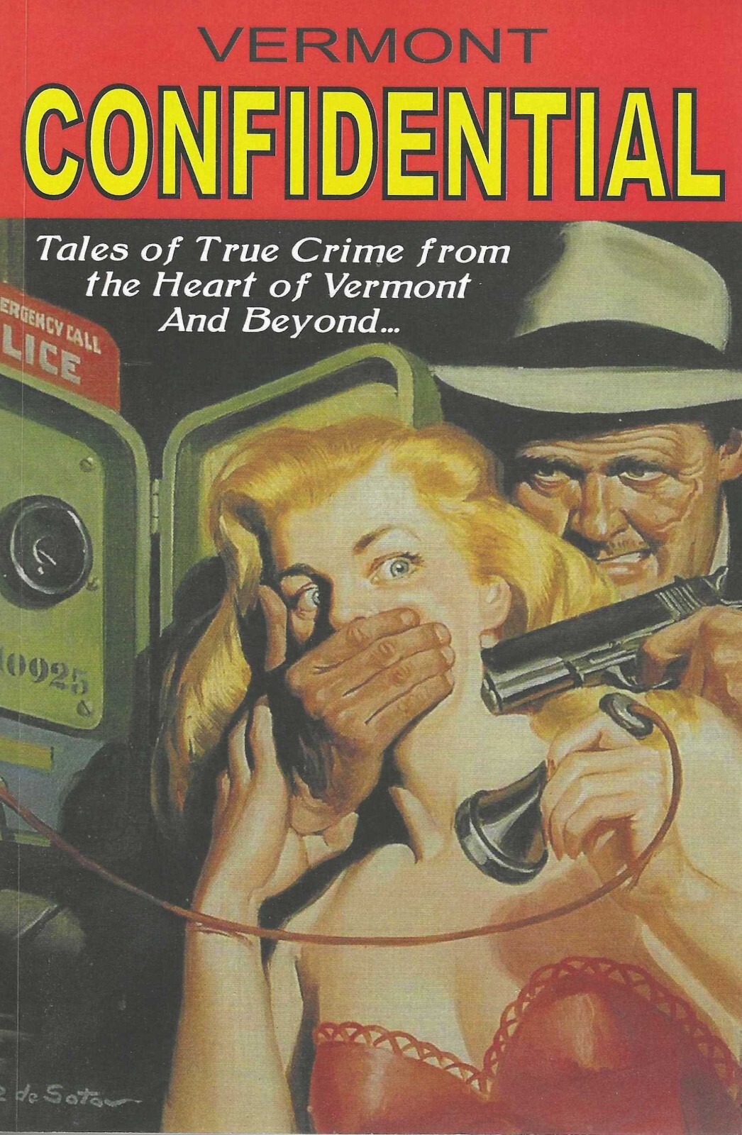 Vermont Confidential - True Crime from the Heart of Vermont by Paul ...