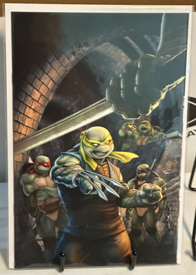 Teenage Mutant Ninja Turtles TMNT: Jennika II #1 Ron Leary Virgin ...