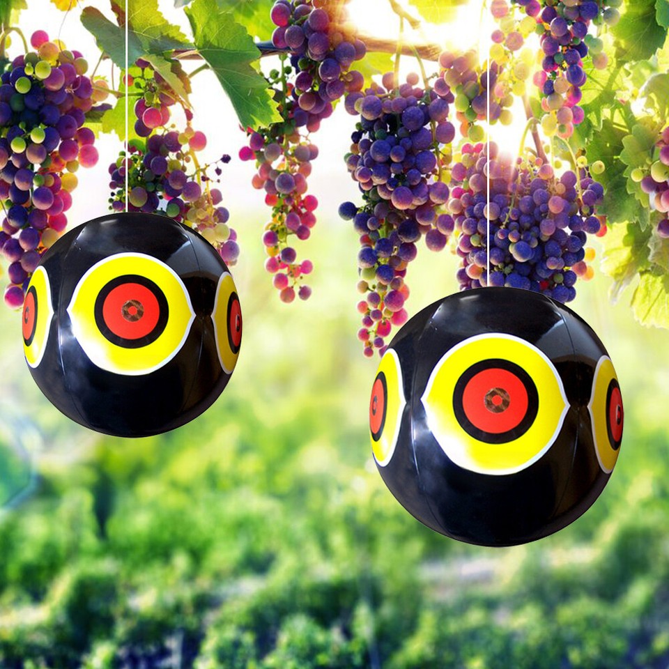 40CM Anti Bird Inflatable Repeller Bird Repellent Scare Eye Balloons ...