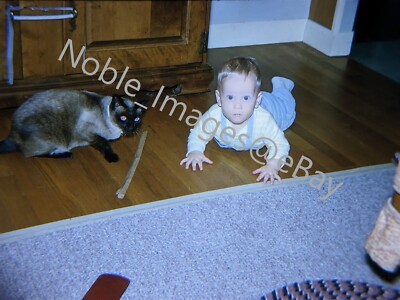 1965 Baby Boy Crawling with Cat Newport RI Kodachrome 35mm Slide | eBay