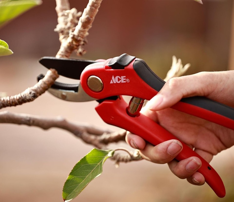 Professional Premium Pruning Shears, Hand Pruners, Garden Clippers | eBay