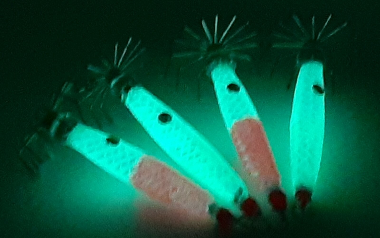 squid jigs fishing glow jig east coast/west coast puget sound 4pcs | eBay