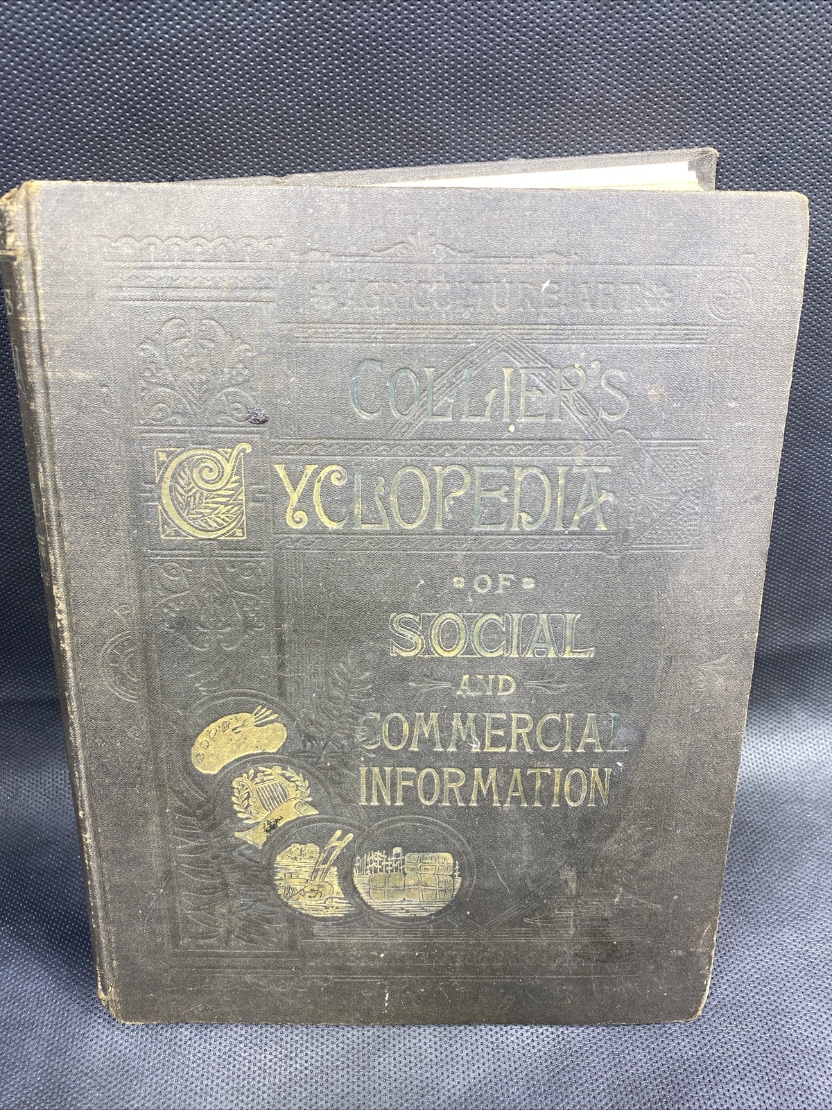 Collier's Cyclopedia of Social and Commercial Information Treasury ...