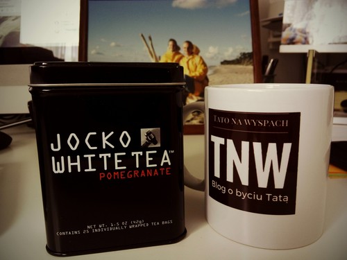 Jocko White Tea Pomegranate Tins 25 Refreshing Individually Wrapped Bag ...