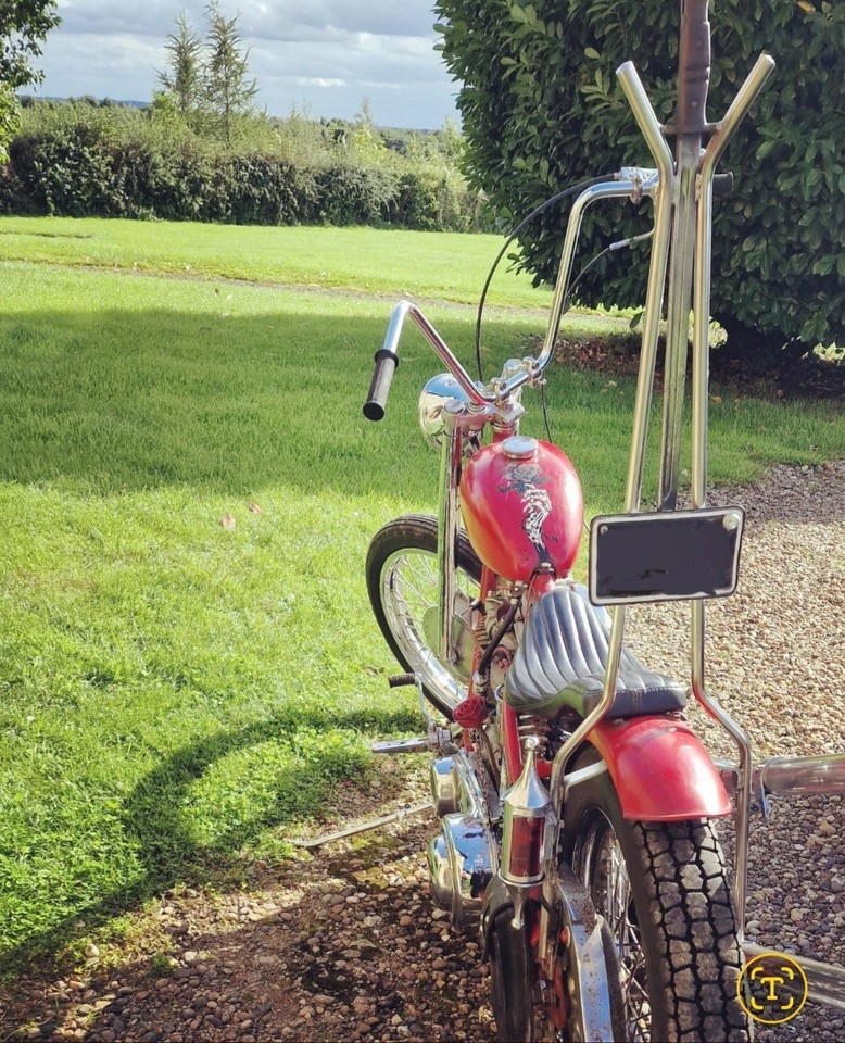Harley Davidson Pan Head Chopper 1956 | eBay UK