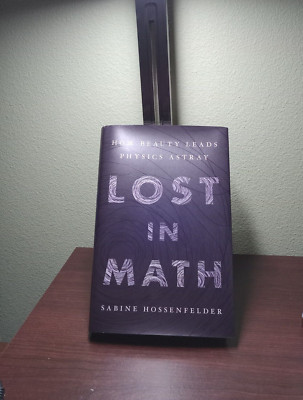 Lost in Math - Like New First Edition Hardback Book | eBay