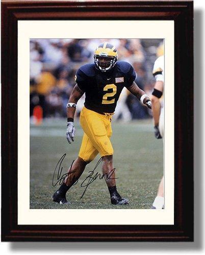 16x20 Gallery Frame Cato June Autograph Promo Print - Michigan ...