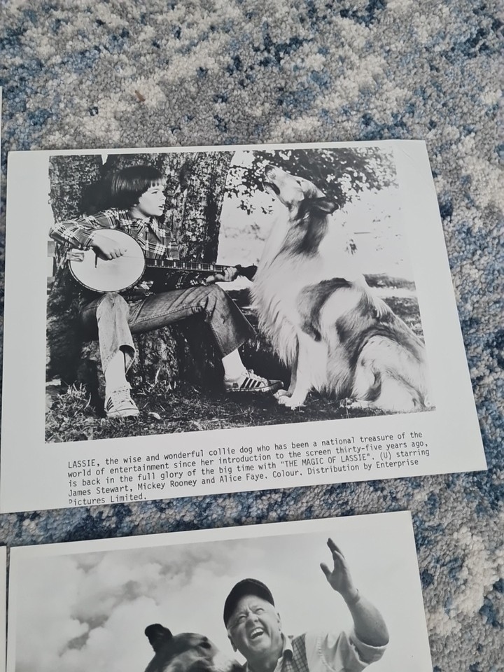 Lassie film stills lobby cards UK glossy x 4 | eBay UK