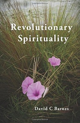 REVOLUTIONARY SPIRITUALITY: HOW TO EXPERIENCE THE FULL By David C ...