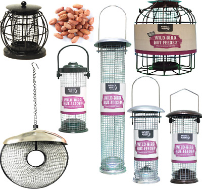 PEANUT FEEDER - Wild Bird Kernel Feeding Tube kf Hanging Feed fad Nuts ...