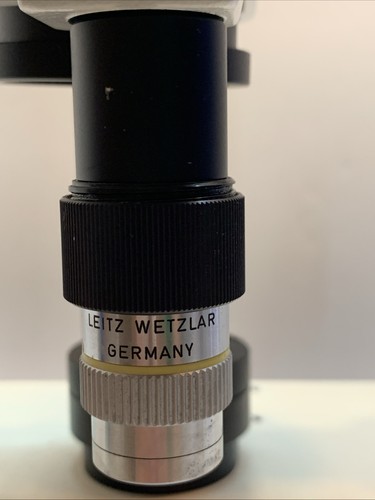 Leica Wild M3Z Microscope Kombi Stereo With Transmitted Light Base ...