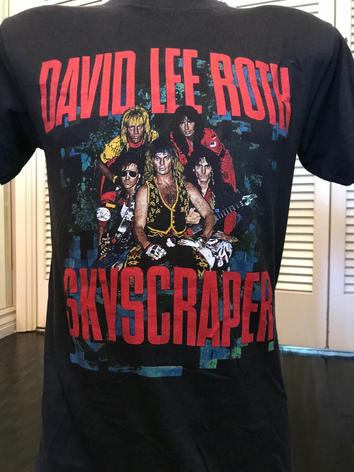 VTG David Lee Roth 1988 Skyscraper Tour Shirt Size Sm… - Gem