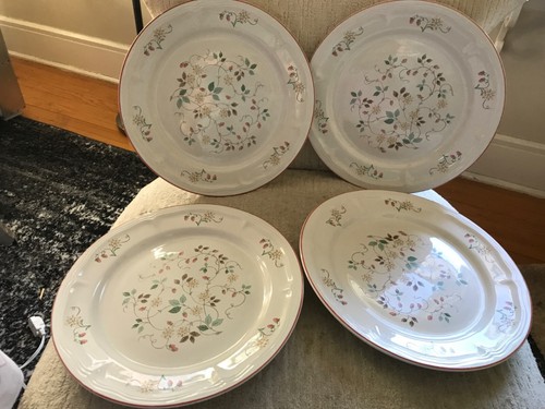 DESIGN CONCEPTS Strawberry Field Stoneware SET OF 4 DINNER PLATES STW ...
