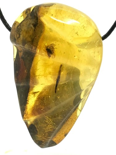 Amber PENDANT Gift Unique Insect Natural BALTIC Genuine Stone On Cord ...