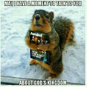 Princess Zena's Cupboard | eBay Stores