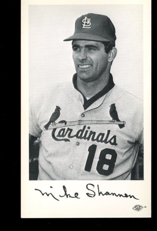 1969 Mike Shannon St Louis Cardinals Team Issued B&W Postcard Photo | eBay