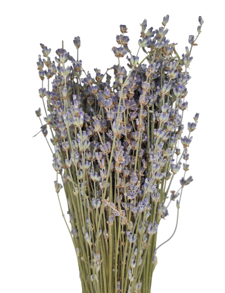 Certified Organic Greek Dried Lavender 1 Bunch and 50g Flowers Harvest ...