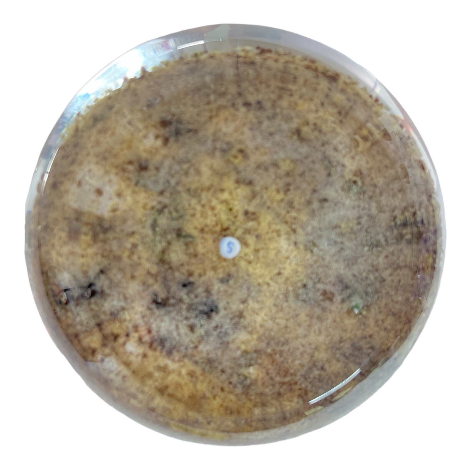 Vintage Paul Joseph Stankard Botanical Handblown Glass Paperweight A193 ...