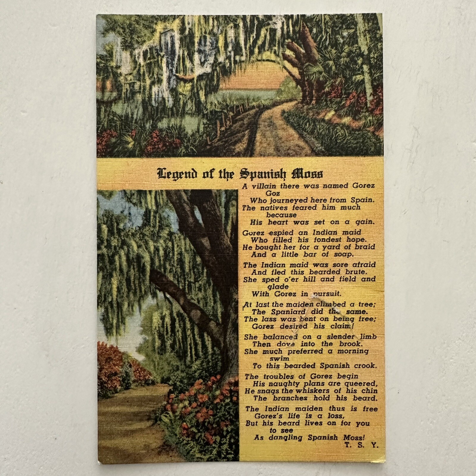Legend of the Spanish Moss Poem Vintage Curteich Linen Postcard ...