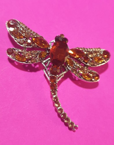 BROOCH 'AMBER & SILVER DRAGONFLY' | eBay Australia