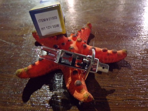 NEW Eiko Halogen Bulb H1 12V 55W *FREE SHIPPING* | eBay