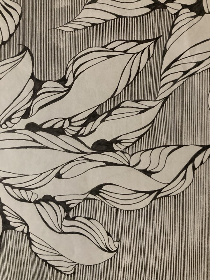 Very Nice Drawing Abstract Ink On Paper 1980 To Identify Flower | eBay UK