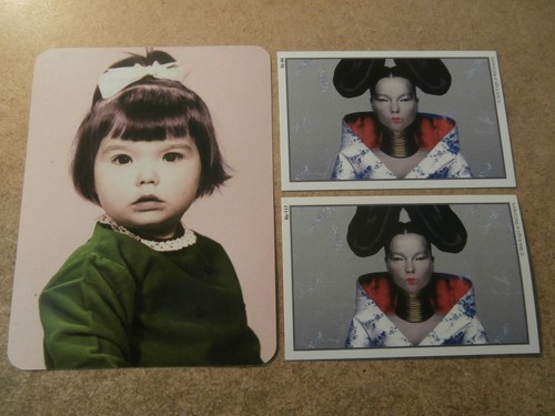 BJORK, 3 RARE TRADING "ROOKIE" CARDS, COLLECTOR (JT29) | eBay