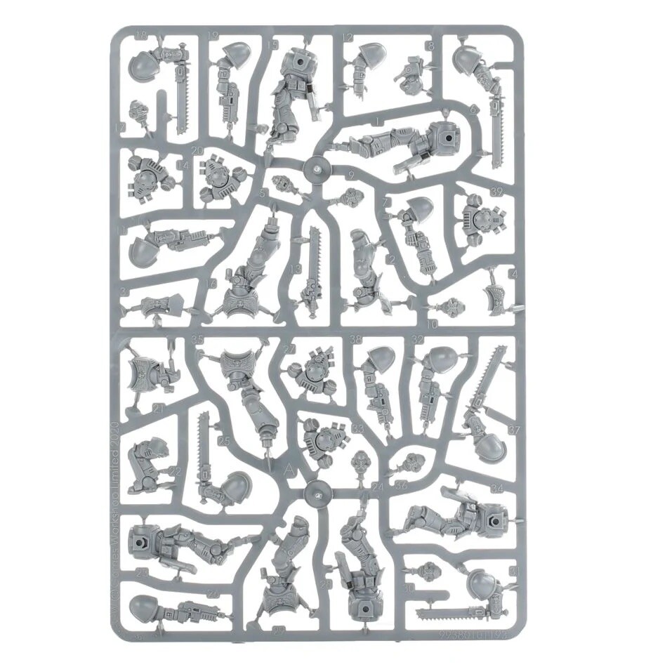 Warhammer 40k 5x Assault Intercessors Primaris Space Marines Command Ed ...