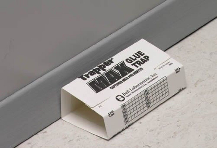 Trapper Max Mouse Glue Traps ( 72 Pack ) Glue Boards Trapper Max Mouse ...