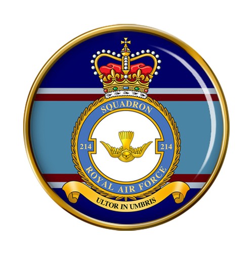 214 Squadron, RAF Pin Badge | eBay UK