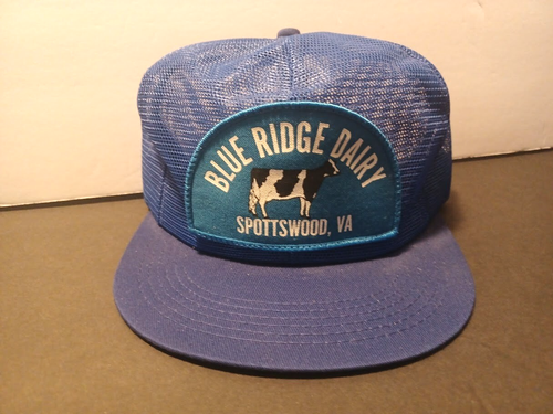 VTG Blue Ridge Dairy Spottswood, Virginia Patch Trucker Cap Hat Blue ...