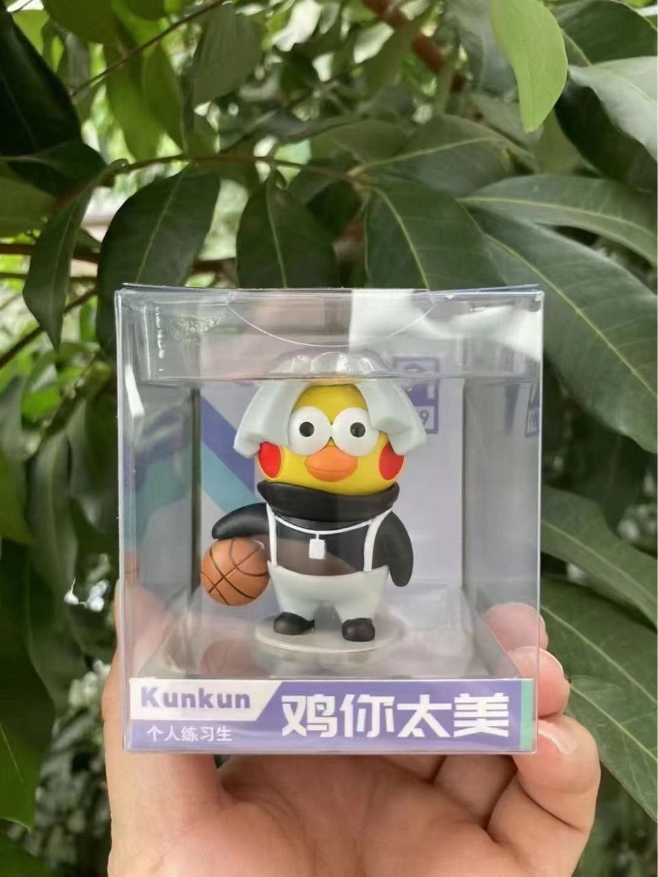 Kunkun Creative Model Ornaments Cai Xu kun 鸡你太美 Ikun Real Love Fan | eBay