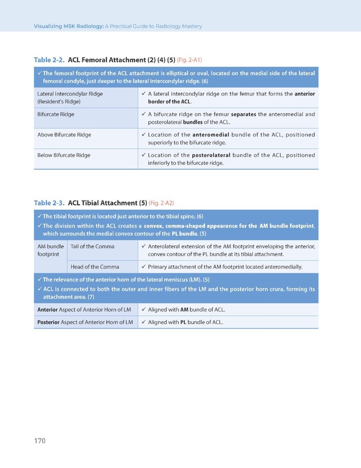 Visualizing MSK Radiology: A Practical Guide to Radiology Mastery "KNEE ...