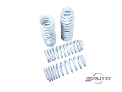 TruHart Front+Rear Lower Lowering Spring for Accord 90-97 CL 97-99 2.5 ...