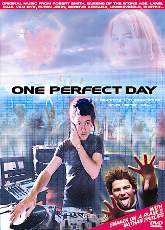 One Perfect Day (DVD, 2007, Widescreen) for sale online | eBay