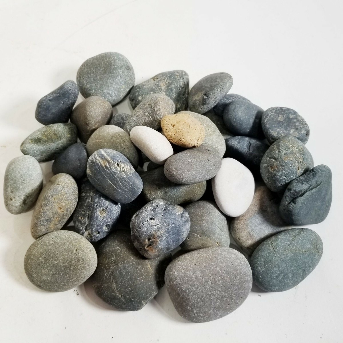 Pebble Rock Whiz Q Stone | New Mexico Cobble Extra Small