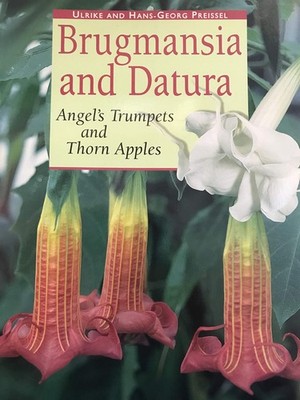 Brugmansia and Datura: Angel's Trumpets and Thorn Apples - paperback ...