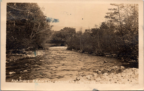 RPPC Roaring Branch Arlington VT 1928 Postcard Fishing Isn't Great D22 ...