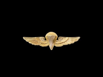 PARACHUTIST JUMP WING US MARINES ANGLICO RECON PIN PARACHUTE SPECIAL ...