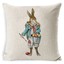 Peter Rabbit Cushion Cover Polyester Pillow Cover Animal Pillow Case ...