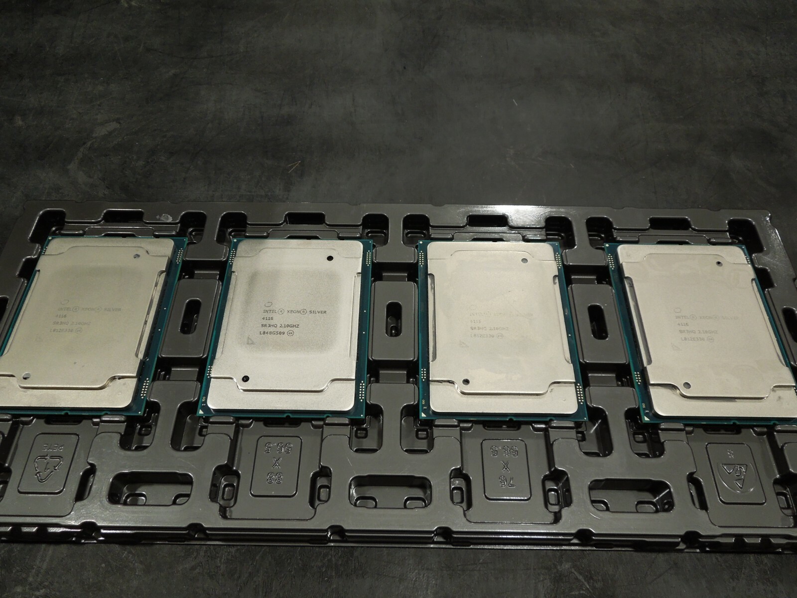 Intel Xeon Silver 4116 2.1 GHz Dodeca-Core (BX806734116) Processor for ...