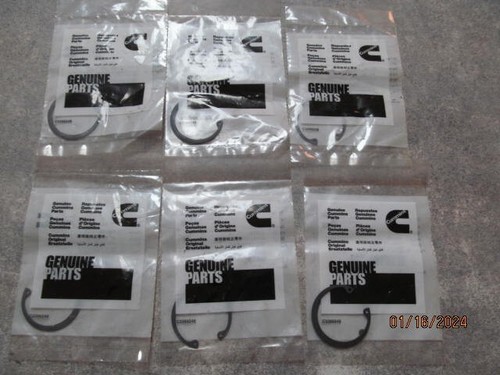 (6) Cummins 3920691 Retaining Rings OEM in factory sealed packages Free ...