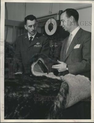 1951 Press Photo Fred R. Dent and Donald B. Huxley examined nylon pelt ...