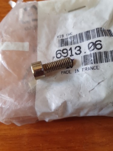 Vis CHC d'Origine Peugeot Citroën - 691306 | eBay