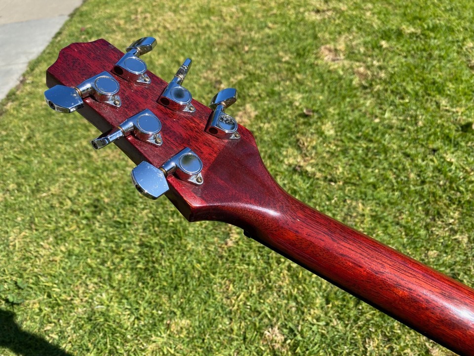 1988 - 1989 Epiphone Spotlight Nouveau Ebony Fingerboard w/ Fender ...