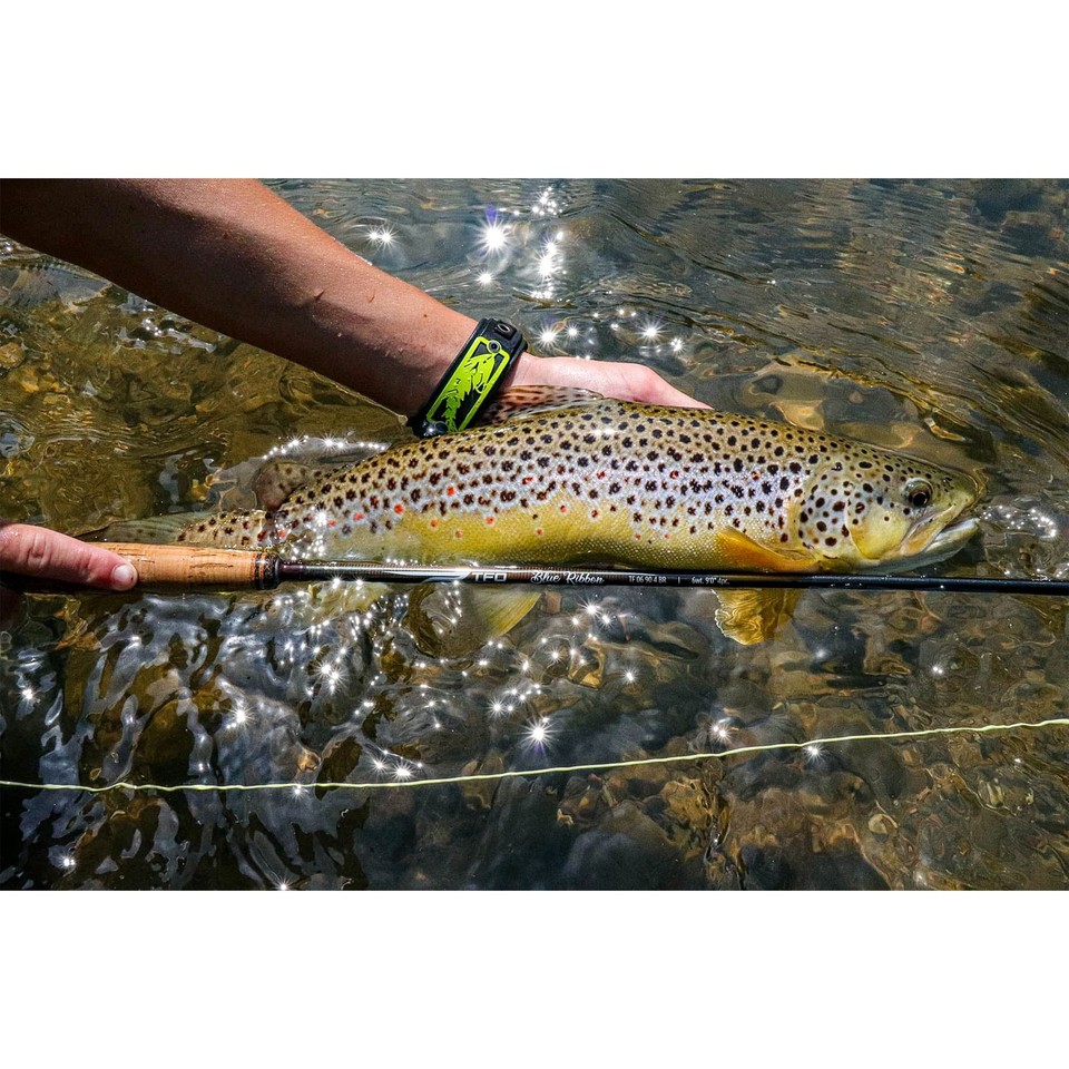 TFO Blue Ribbon 5 Wt. 9'0" 4 Pc. Rod W/Case (Tf-05-90-4-Br) | eBay