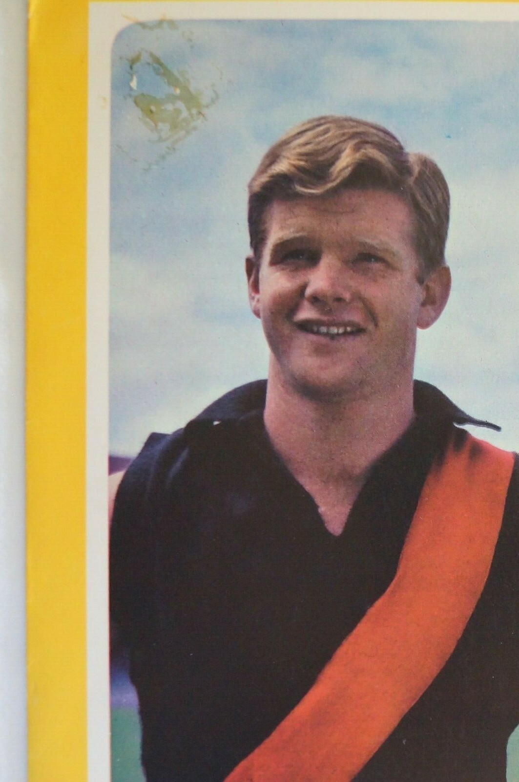 Essendon Bombers Vintage 1968 Ampol VFL Champions Folder & Vinyl Barry ...