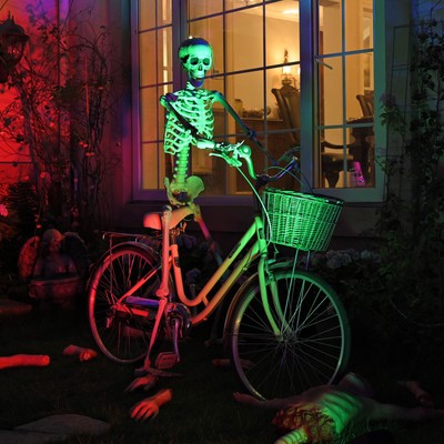 5.4 ft Full Body Skeleton Prop Poseable Joints Halloween Decor Human ...